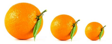 Assertion Of Small Entity Or Micro Entity In Patent Applications