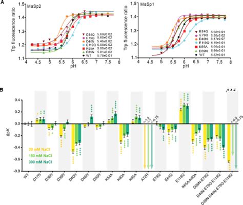 Investigation Of Ph Dependent Dimerization Of Ntd Via Tryptophan