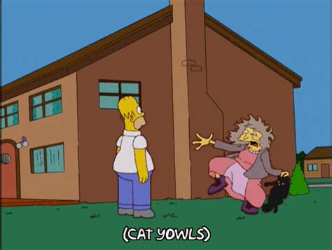 Cat Lady Simpsons S Get The Best  On Giphy