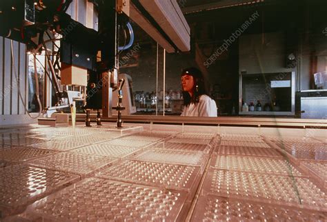 Genome Research Colony Picker Robot At Genethon Stock Image G210