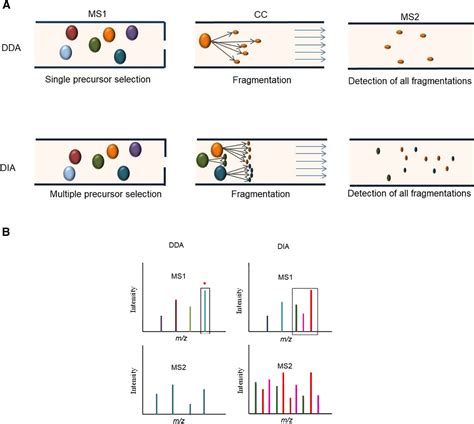Proteomics Techniques In Protein Biomarker Discovery Babaei 2024 Quantitative Biology