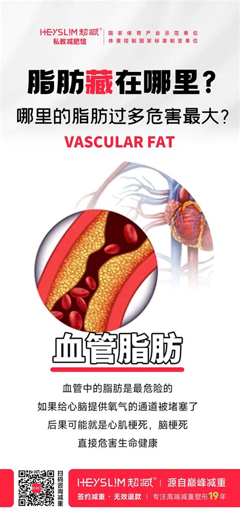 血管脂肪 花瓣网