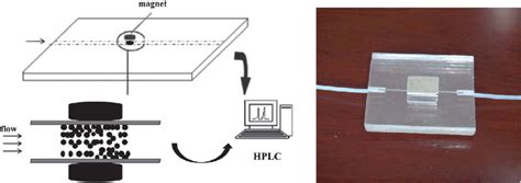 Schematic Diagram Of The Experimental Procedure Download Scientific