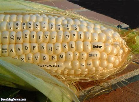 Qú̴̥͆̂ȯ̶̺̫̭̤͌̔̉̆͛̇̉͆͝r̵̥̣̹̖̩̙̎͐̒͆̀̂̓ͅnty Kees Rooer