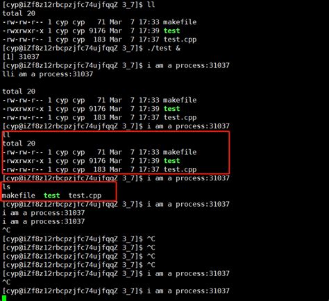 Linux 进程信号 Csdn博客