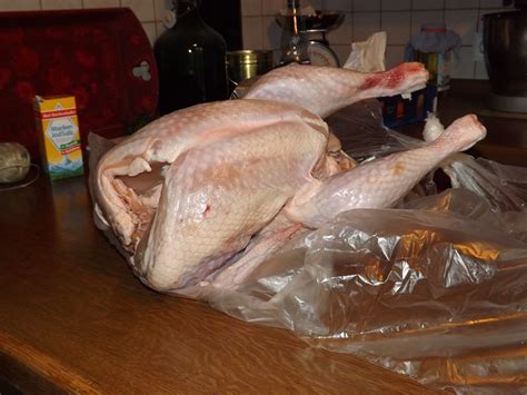 Truthahn Essen Grillforum Und Bbq Grillsportvereinde