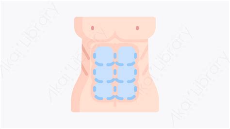 图片素材 020腹部 Abdominalsmg卡通整形外科元素图标 每天快乐多一点