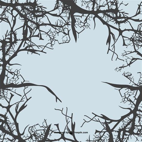 Tree Branches Background 1200×1200 Bayside Sea Scouts