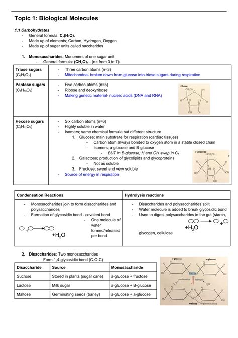 Complete Summary Notes For Asa Level Biology B Pearson Edexcel From