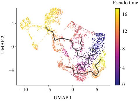 Pseudo Temporal Differentiation Trajectories And Gene Expression
