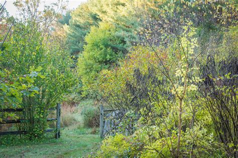 Naked Gardening Hot Spots The New York Times