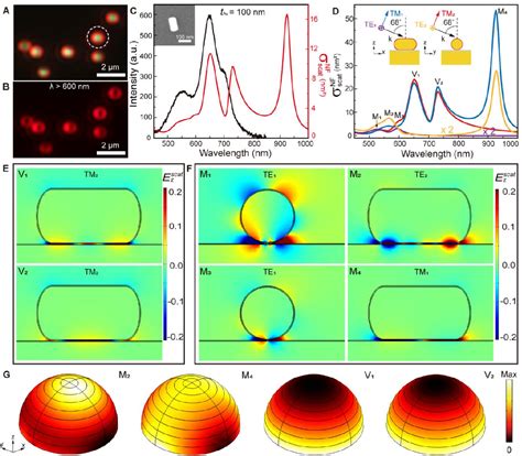 Figure 2 From Atomically Smooth Single Crystalline Platform For Low Loss Plasmonic Nanocavities