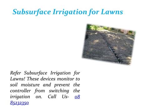 Subsurface Drip Irrigation 2 Pptx