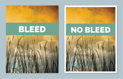 Creating A Professional Image With Bleed In Photoshop