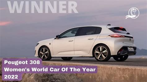 Perritos ‘mini Toy Razones Por Las Que No Debes Comprarlos Infobae