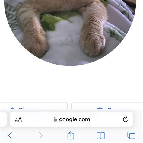 Allison Meyer Youtube