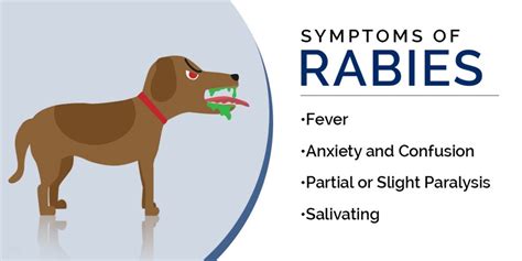 Humans With Rabies Symptoms