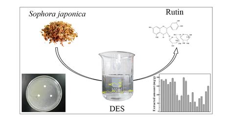 Biocompatible Deep Eutectic Solvents Based On Choline Chloride Characterization And Application