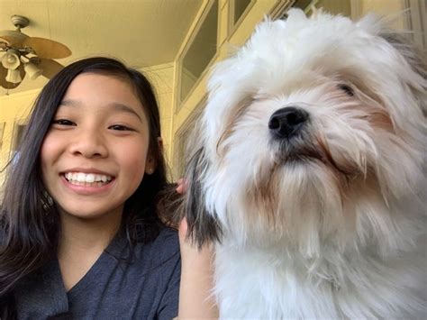 Bailey And Me Bailey Dogs