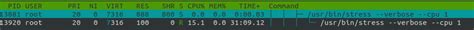 monitoring pod usage cpu memory is doubled · issue 25539 · rancher