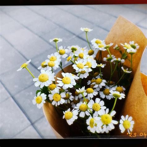 Yvonne Chen Yvonnechen555 • Threads Say More