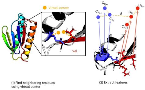 Meet Foldseek A High Performance Deep Learning Approach For Fast And
