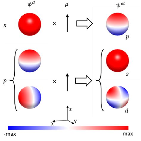 Dipole Selection Rules In Photoionizationphotodetachment Angular