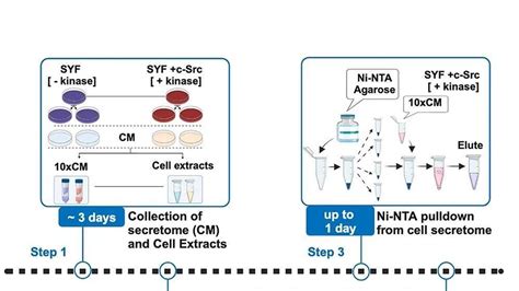 年度最值得推荐的实验方法网站，复现精美流程图！ 知乎