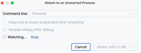 附加到进程 Jetbrains Rider 文档