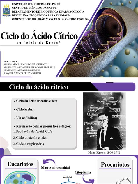 Entendendo O Ciclo Do Ácido Cítrico Pdf Ciclo Do ácido Cítrico