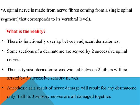Upper Limb Dermatomes And Their Clinical Significance Pptx Pptx
