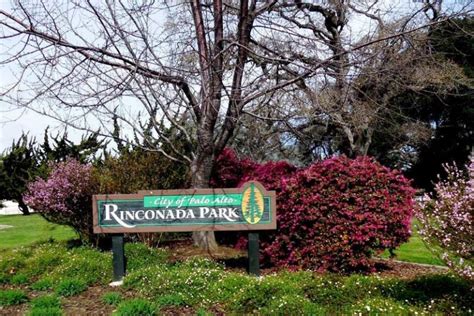 40 Best And Fun Things To Do In Palo Alto Ca The Tourist Checklist