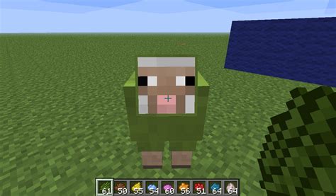Spot The Green Sheep Minecraft Map Spot The Green Sheep Minecraft Map