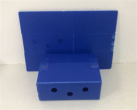 Cheap Pp Danpla Box For Packaging Frozen Meat Factory Price