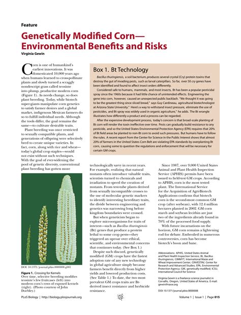 Pdf Genetically Modified Corn— Environmental Benefits And Risks