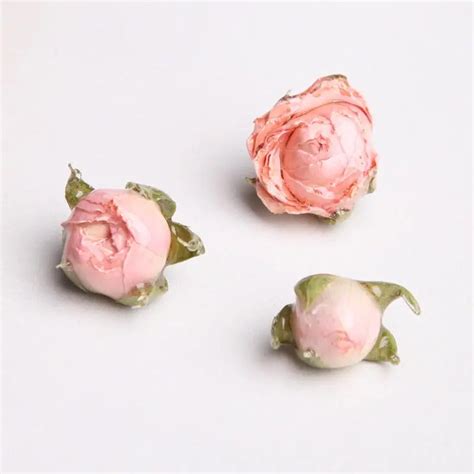 Dried Rose Flowers Scrolller