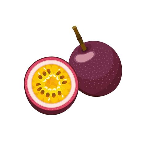 Premium Vector Passion Fruit Set Design Of Isolated Whole Tropical
