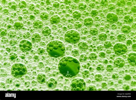 Macro Image Foam Bubbles From Soap Or Shampoo Washing Against A Green