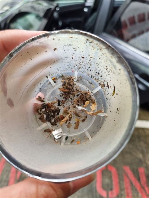 Carvan Fumigation Car Accessories Car Workshops And Services On Carousell