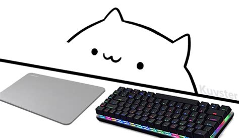 Bongo Cat Creator How To Draw Bongo Cat Bongocat  Drawing Cat