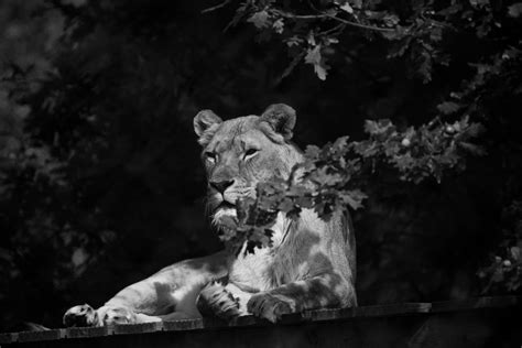 Didem Arslan Yılmazın Kocası Kimdir