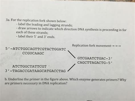 Solved For The Replication Fork Shown Below Label The
