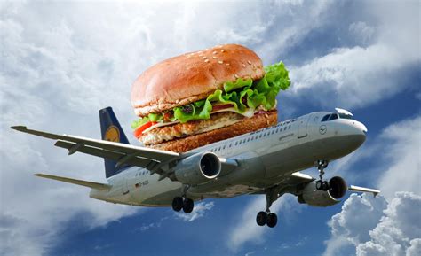 Burger On A Plane Rburgeronaplane