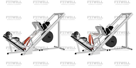Sled 45 Degrees One Leg Press Exercise Guide Techniques Benefits