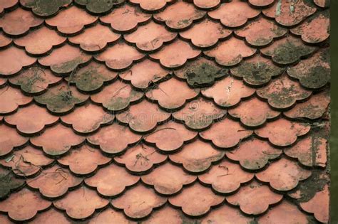 Beautiful Geometric Pattern Of Red Roofing Tiles Stock Image Image Of