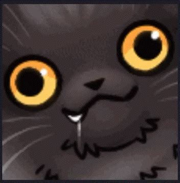 Drooling Black Cat  Drooling Black Cat Drooling Discover And Share