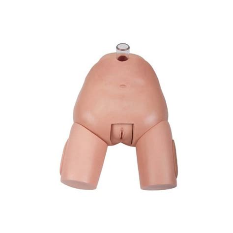 Bouh29f Advanced Female Bladder Puncture Model Darhmmy Manufacturer