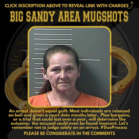 Rose Johnson Big Sandy Area Mugshots News