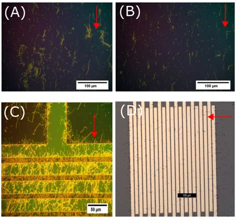 Flow Assisted Dielectrophoresis A Low Cost Method For The Fabrication Of High Performance