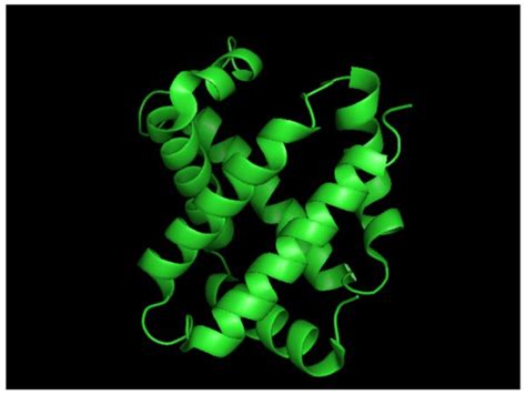 Human Hemoglobin Pdb 2dn2 Chain A 13 Download Scientific Diagram